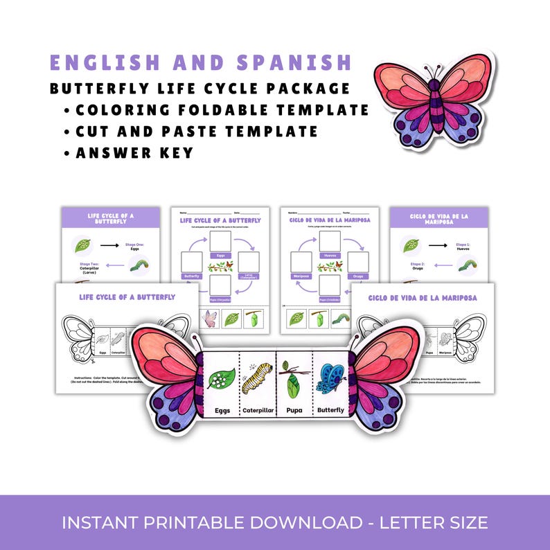 Butterfly Life Cycle Bilingual Worksheet Bundle | English & Spanish ...