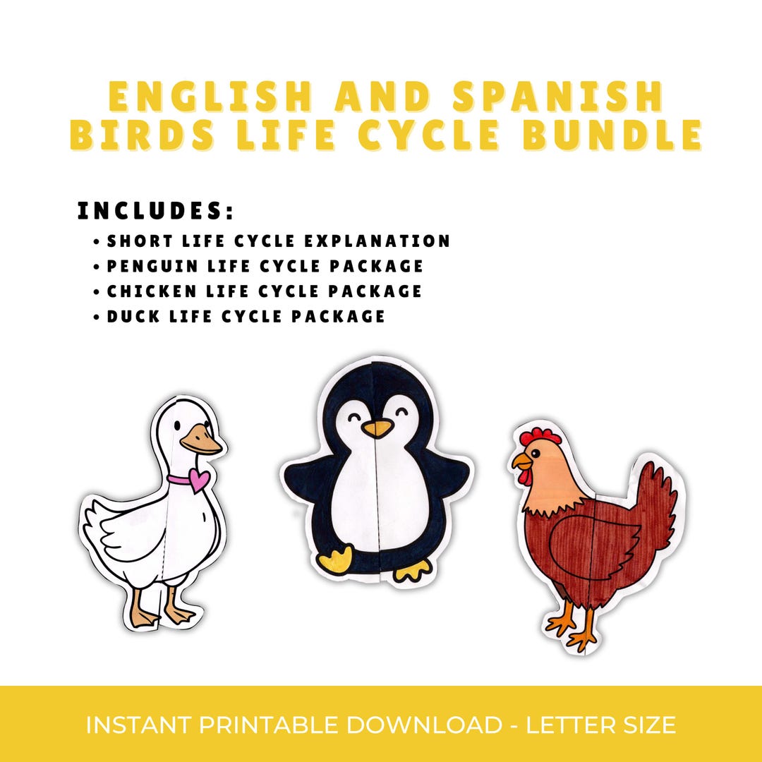Bird Life Cycle Bilingual Worksheet BUNDLE | English & Spanish ...