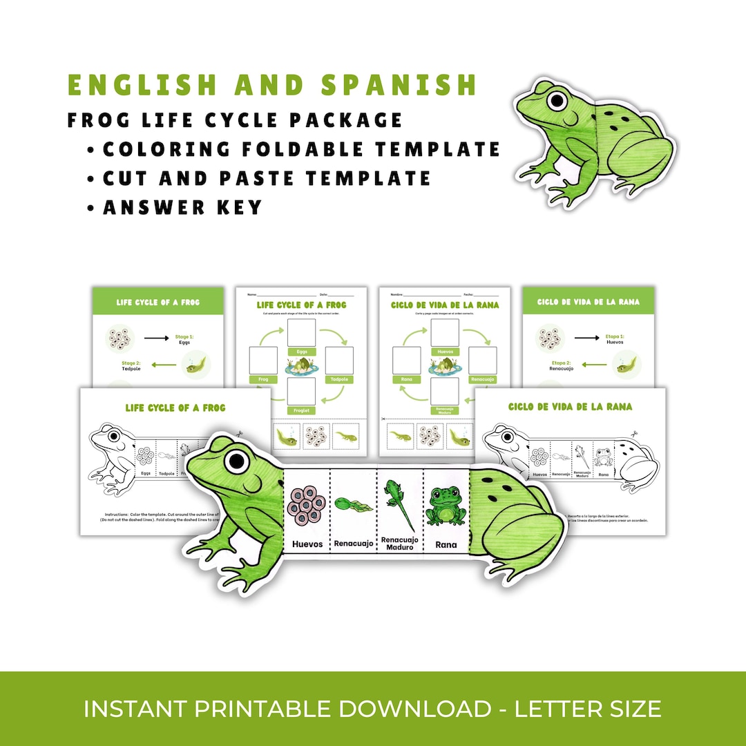 Frog Life Cycle Bilingual Worksheet Bundle | English & Spanish ...