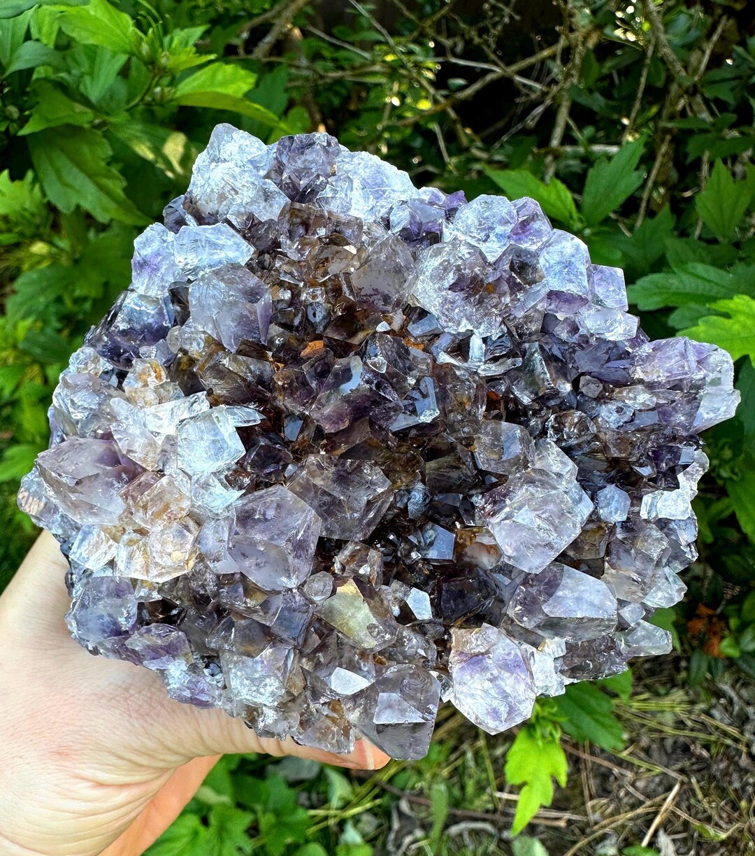 UV Reactive Zambian Amethyst — Yellow & Orange Phantoms Revealed Under ...