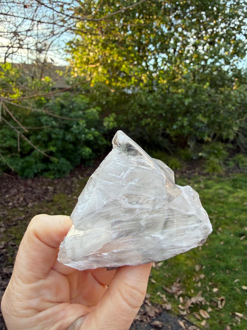 Clear Natural Selenite Crystal | La Platosa Mine, Bermejillo, Durango ...