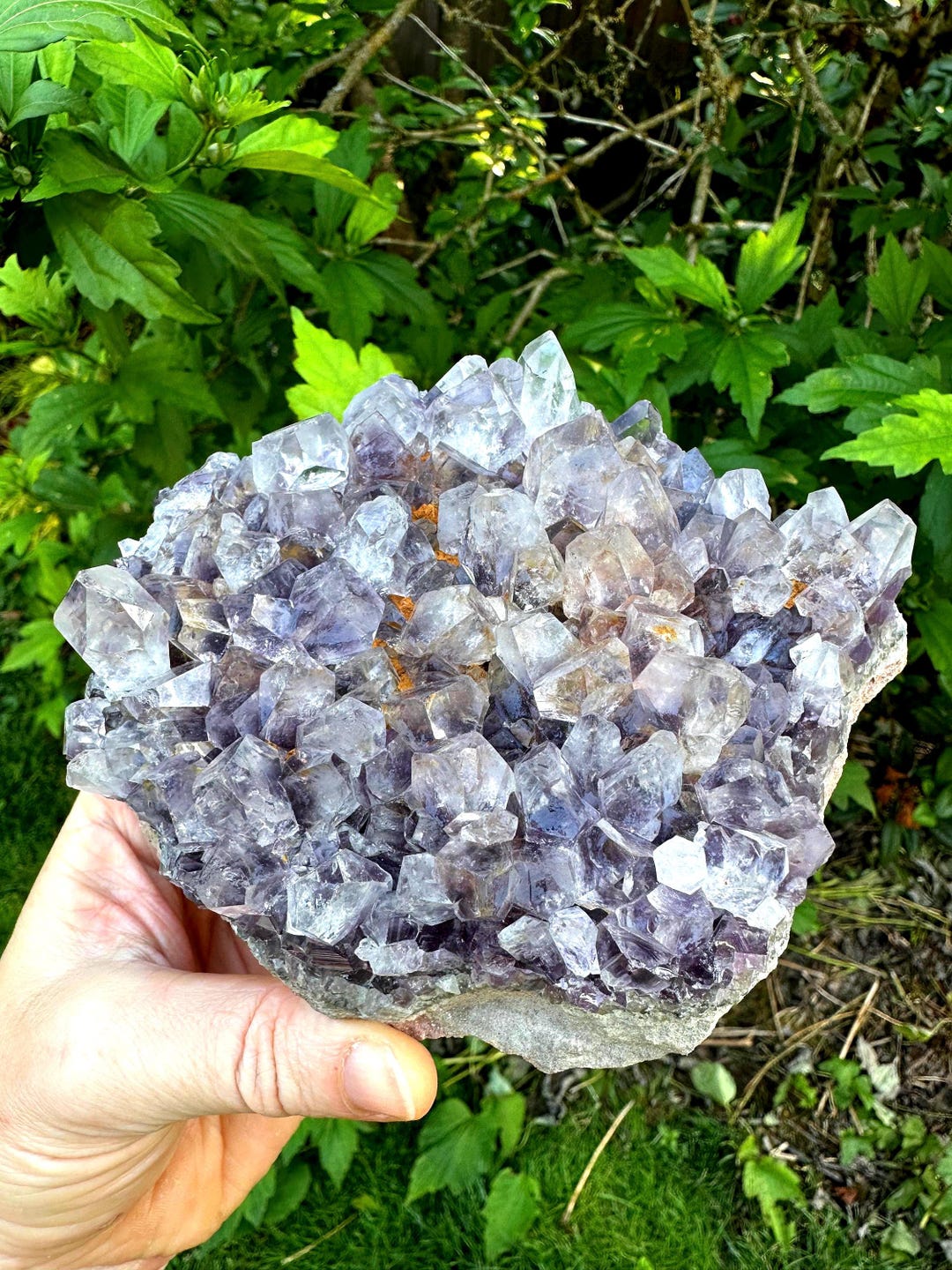 UV Reactive Amethyst With Yellow Orange Phantoms Zambia Large Display ...