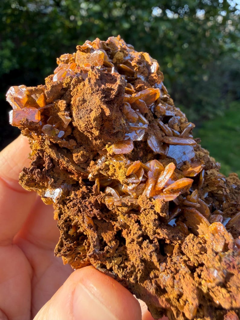 Caramel Wulfenite on Limonite – Thick Crystals, Erupción Mine, Los ...