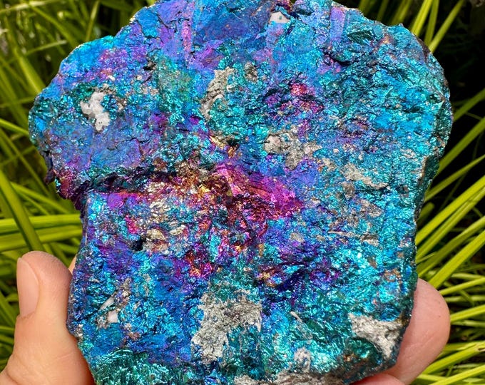 Peacock Copper / Peacock Ore / Chalcopyrite - 4.25inch - 503g or 1lb 1 ...
