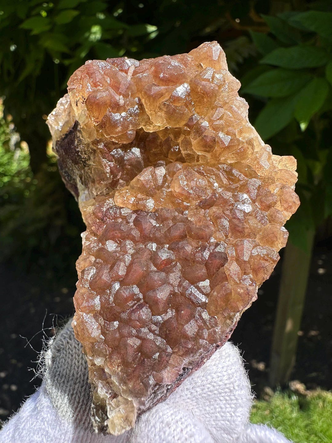 UV Reactive Red-brown Botryoidal Fluorite With Dogtooth Calcite - Etsy