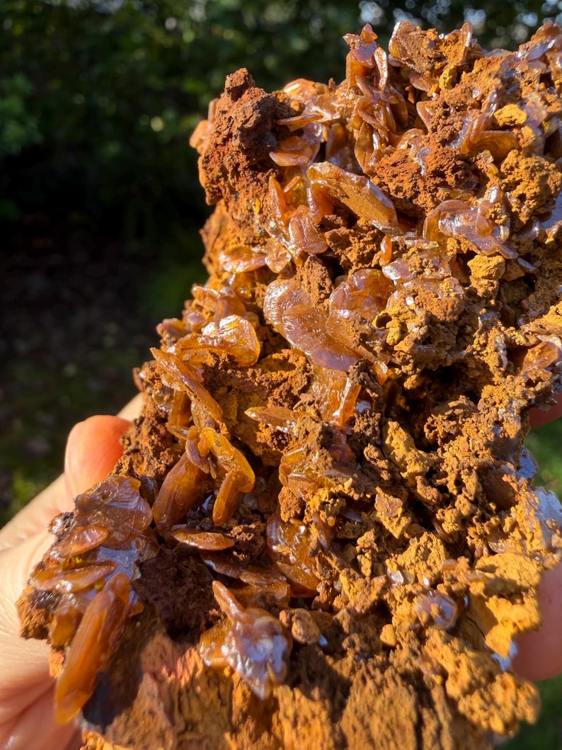 Caramel Wulfenite on Limonite – Thick Crystals, Erupción Mine, Los ...
