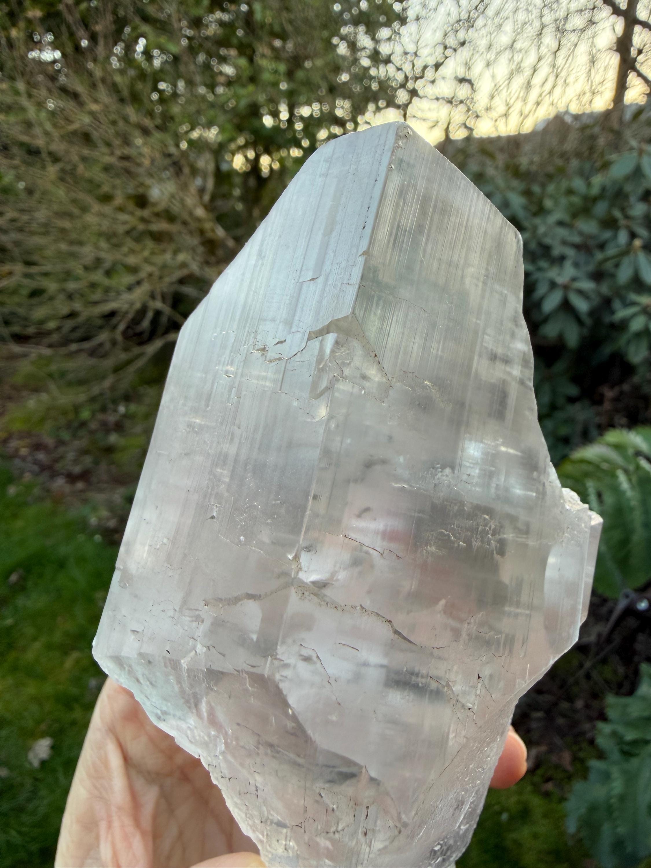 Clear Selenite Crystal – La Platosa Mine Durango Mexico – Transparent ...