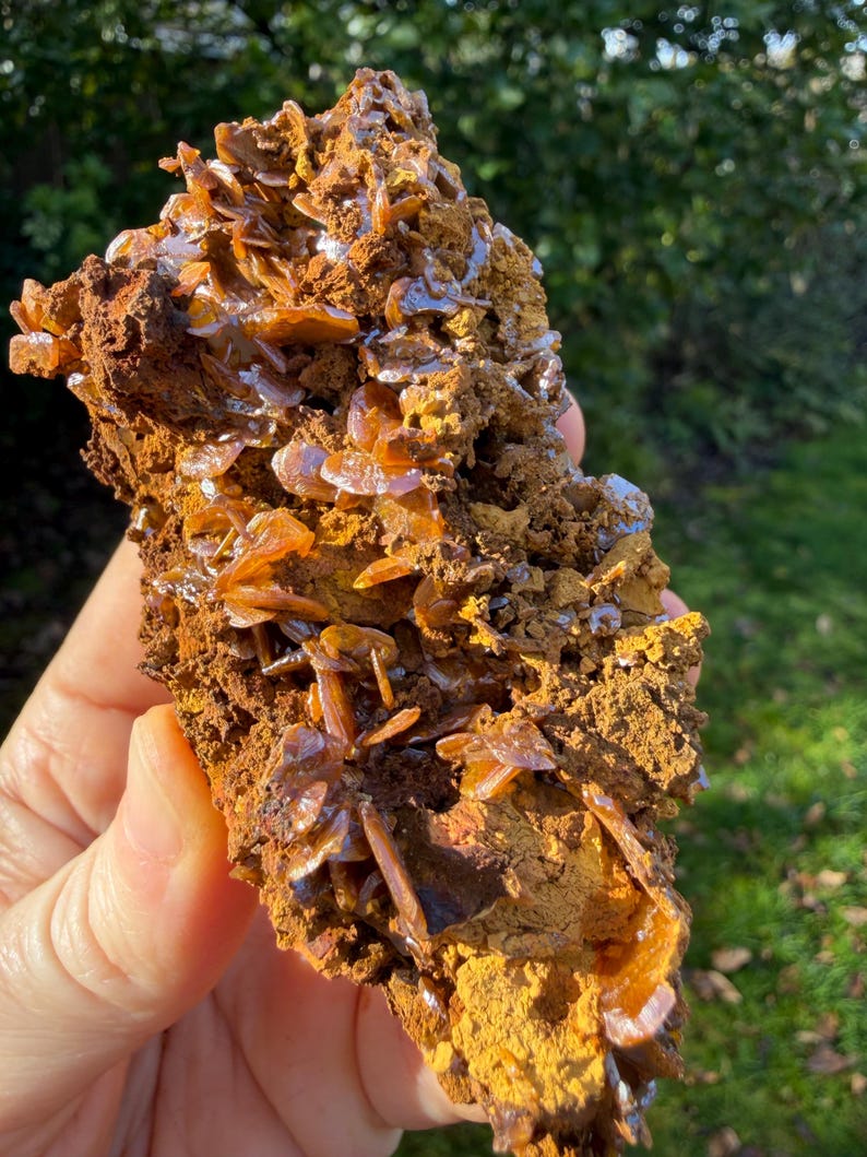 Caramel Wulfenite on Limonite – Thick Crystals, Erupción Mine, Los ...