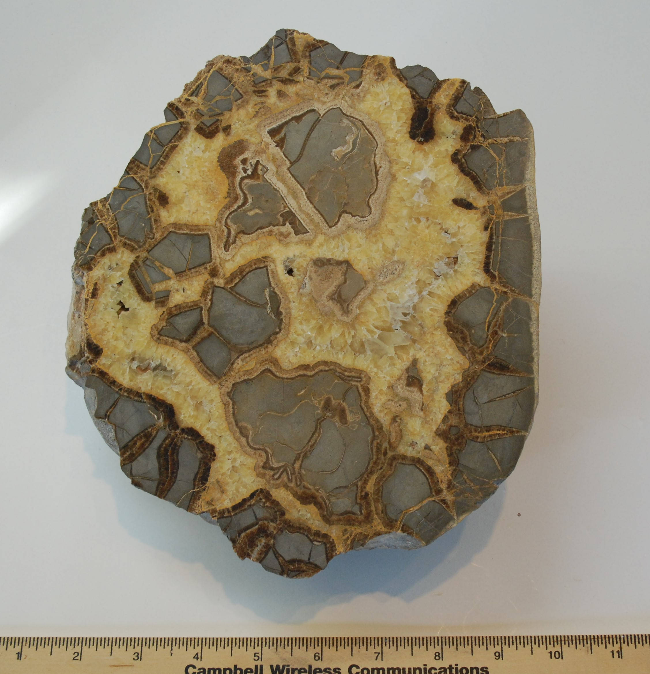 Polished Septarian Concretion or Septarians Nodule Half. - Etsy