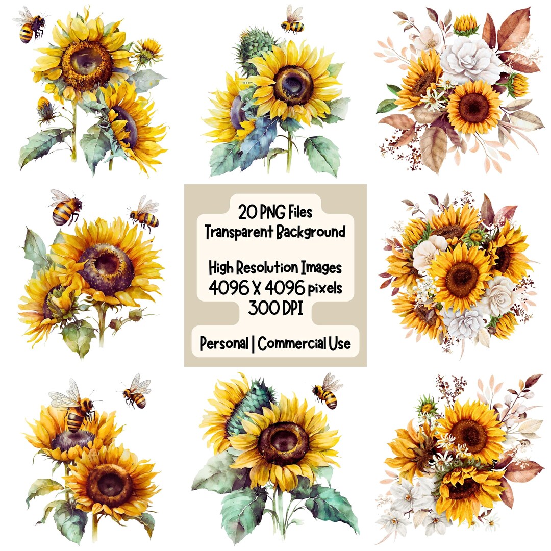 Watercolor Sunflower Clipart | Digital Download | 300 DPI Art | PNG ...