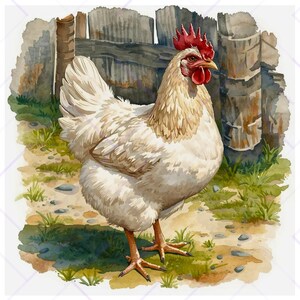 Chicken Farm Clip Art Set | Watercolor Style (digital Download) - Etsy