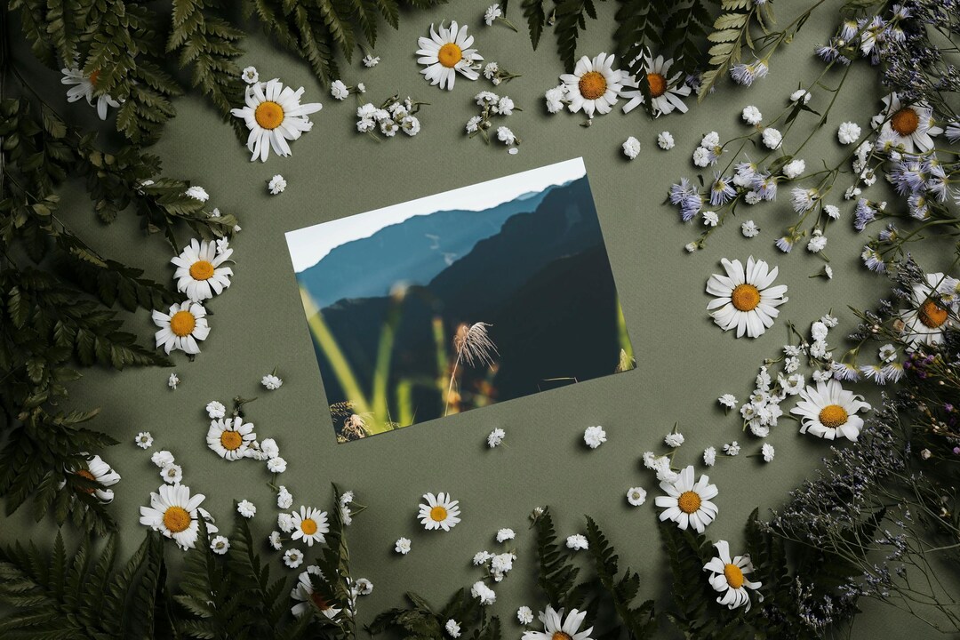 Just Because Postcards Pack of 10 - Wanderlust Postcards – Scenic ...