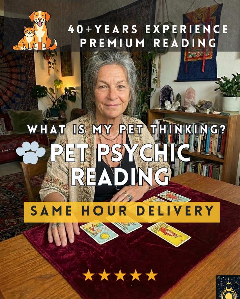 Pet Psychic Animal Medium Reading Same Hour | What is Your Pet Thinking ...