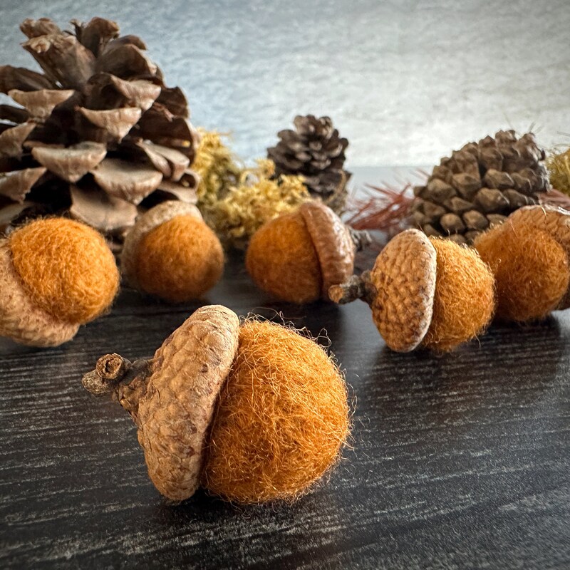 Wool Felted Acorns - Etsy
