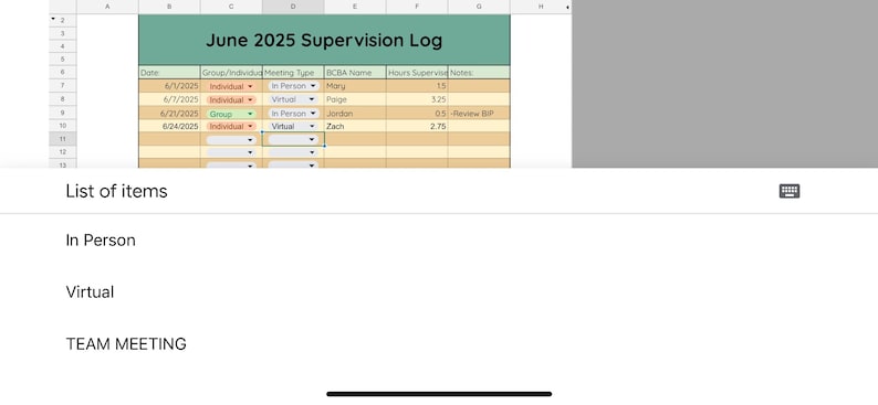 RBT Supervision Tracker: ABA Monthly Hours Log - Google Sheets/excel ...