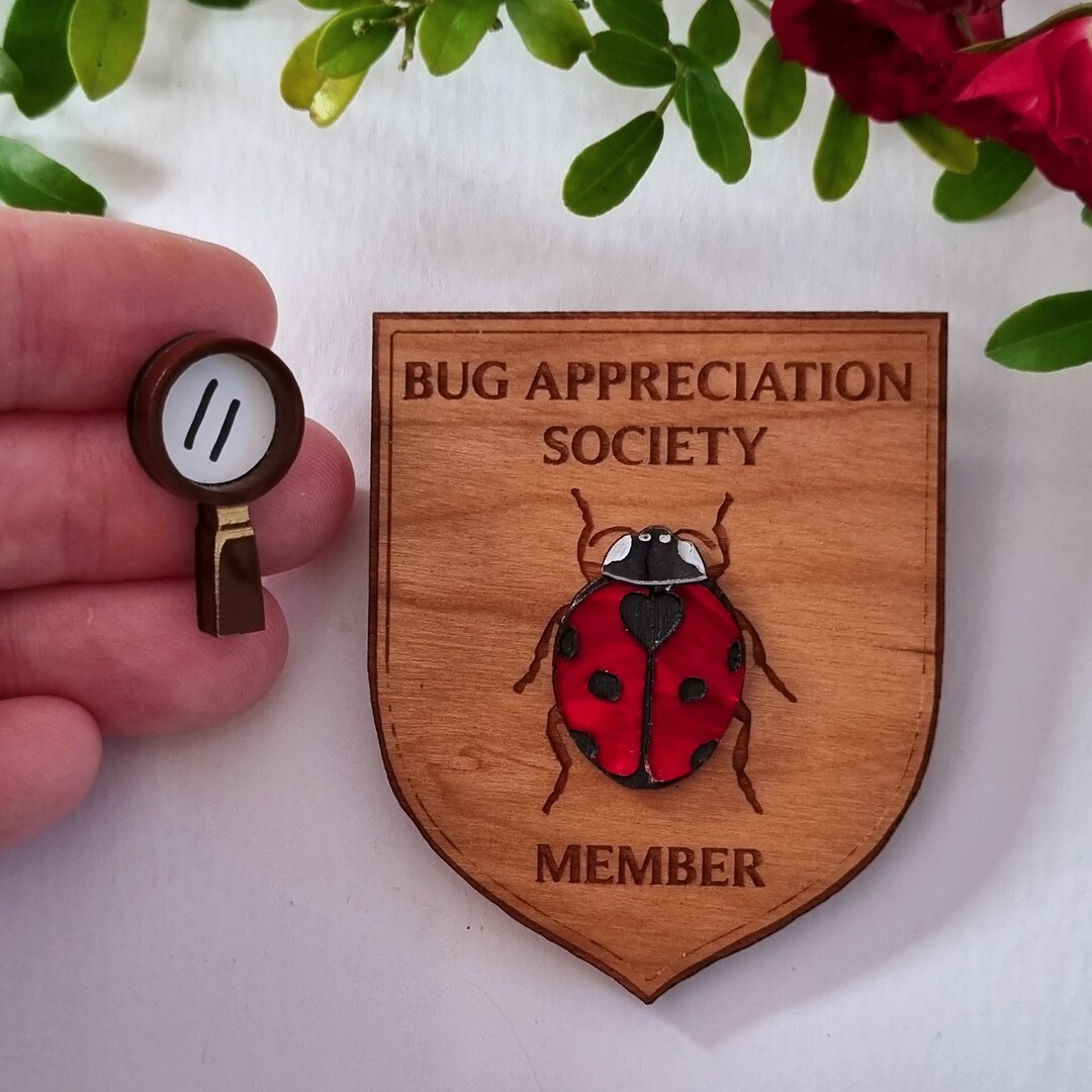 Bug Appreciation Society Member Wearable Art Brooch and Pin Set by ...