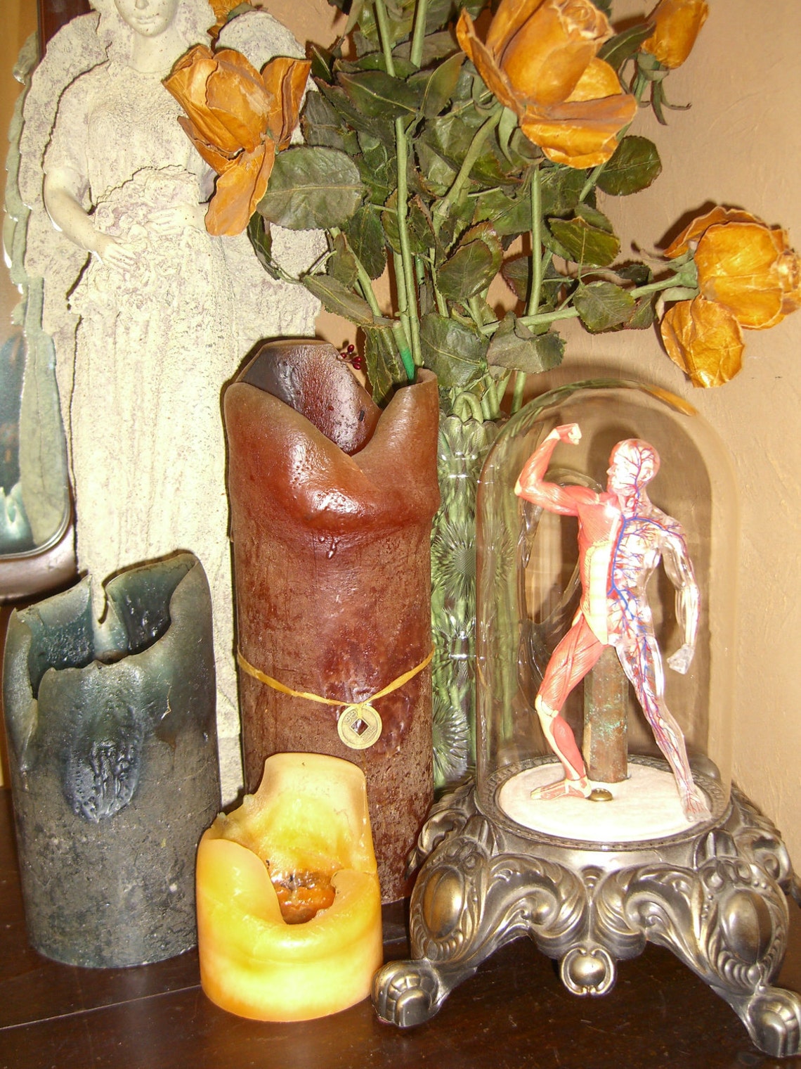 Skeletal Muscle Man Anatomy Lamp in Glass Dome | Etsy