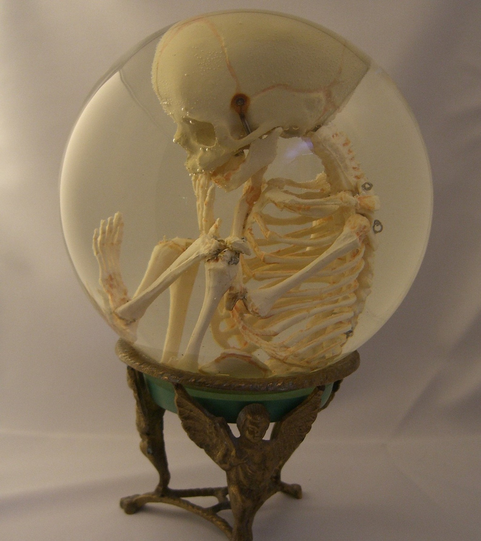 Human Fetal Skeleton in Glass Womb - Etsy Canada