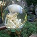 Human Fetal Skelton in Glass Cloche Dome - Etsy