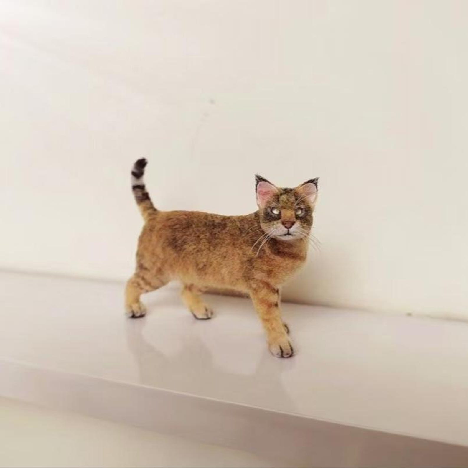 Realistic Needle Felted Mini Cat | Handmade | Custom Pet Portrait ...