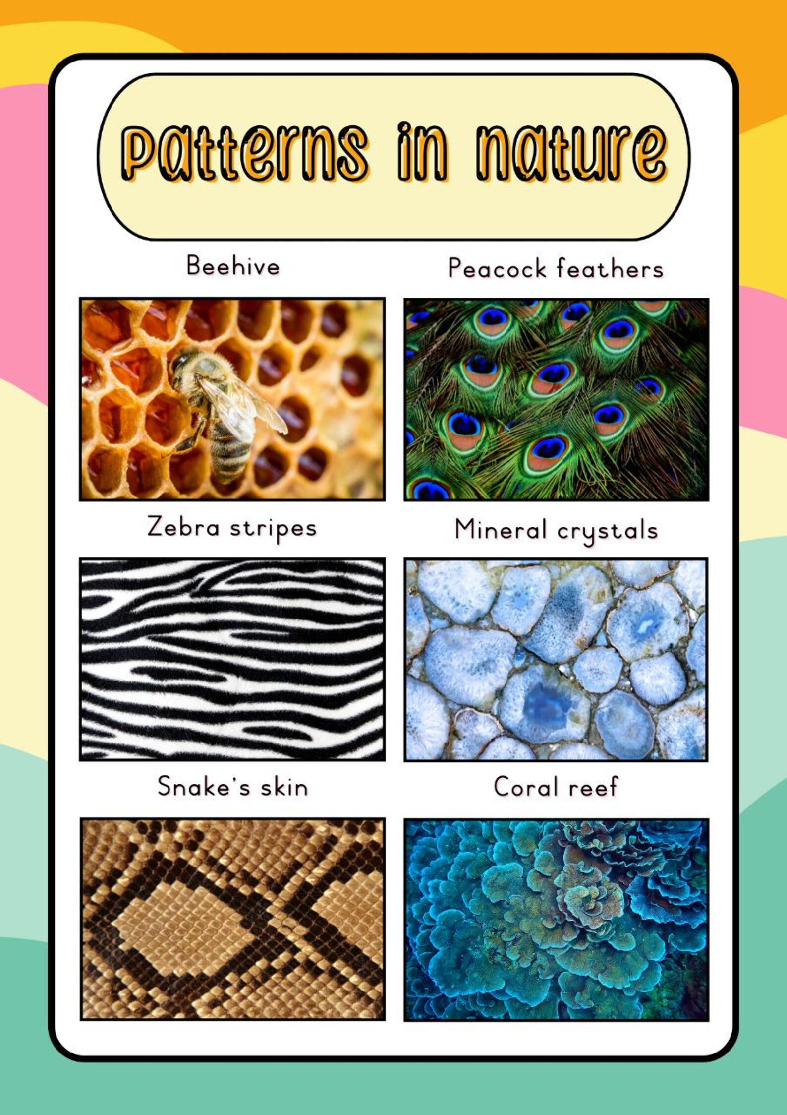 Types of Patterns Classroom Poster (english) - Etsy UK