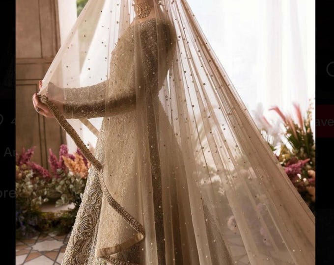 Golden Net Dupatta With Beaded Border. Indian Dupatta for Women With ...