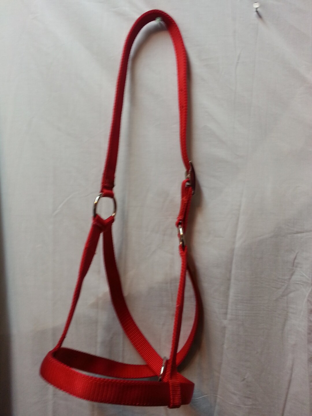 Bull cow Halter Heavy Duty Choice of Color USA MADE - Etsy