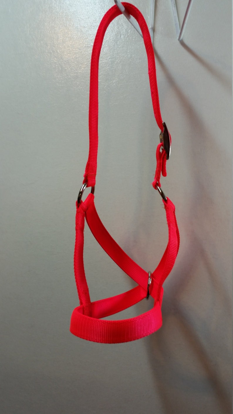 Cattle Halter Heavy Duty Choice of Color USA MADE SIZE - Etsy