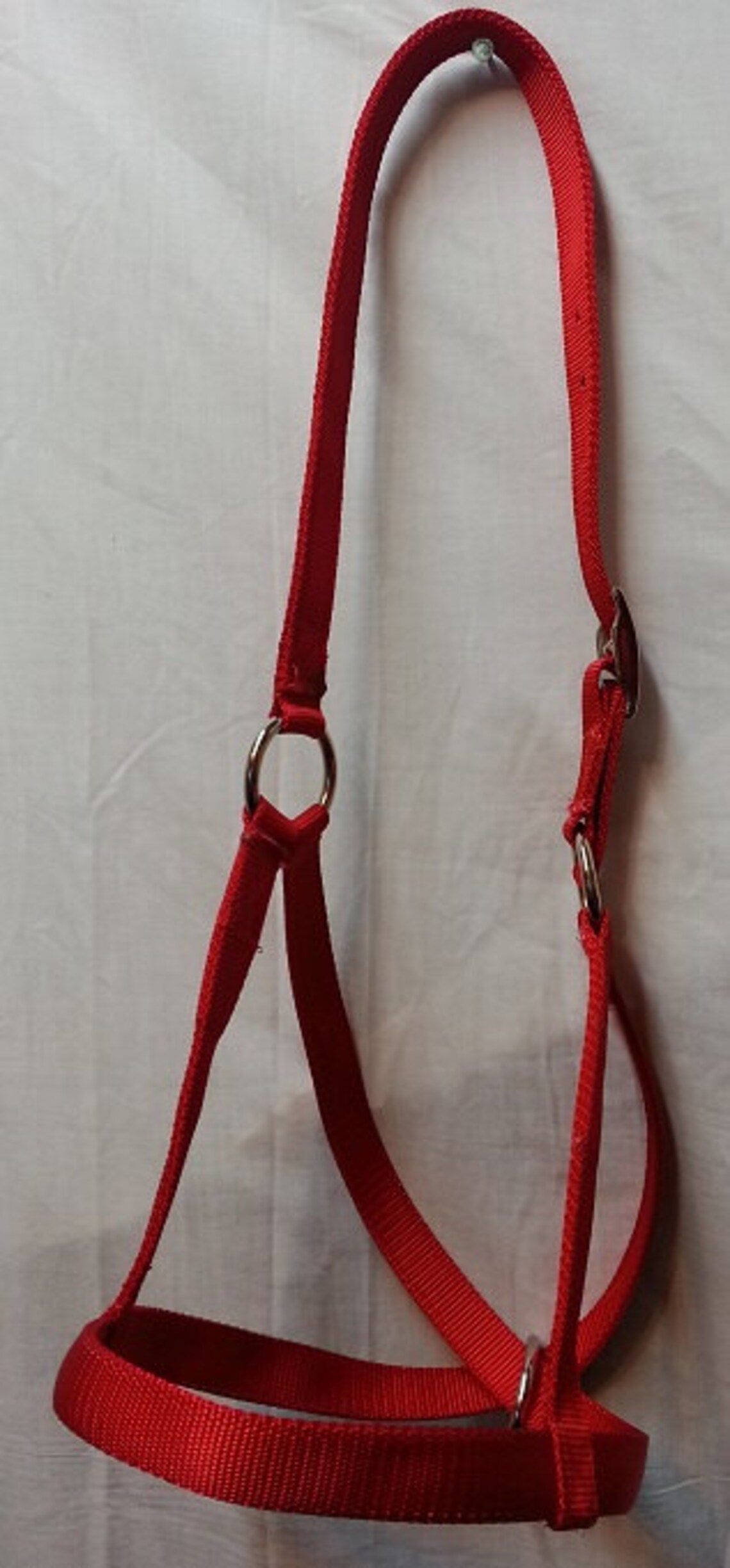 Cattle Halter Heavy Duty Choice of Color USA MADE SIZE | Etsy