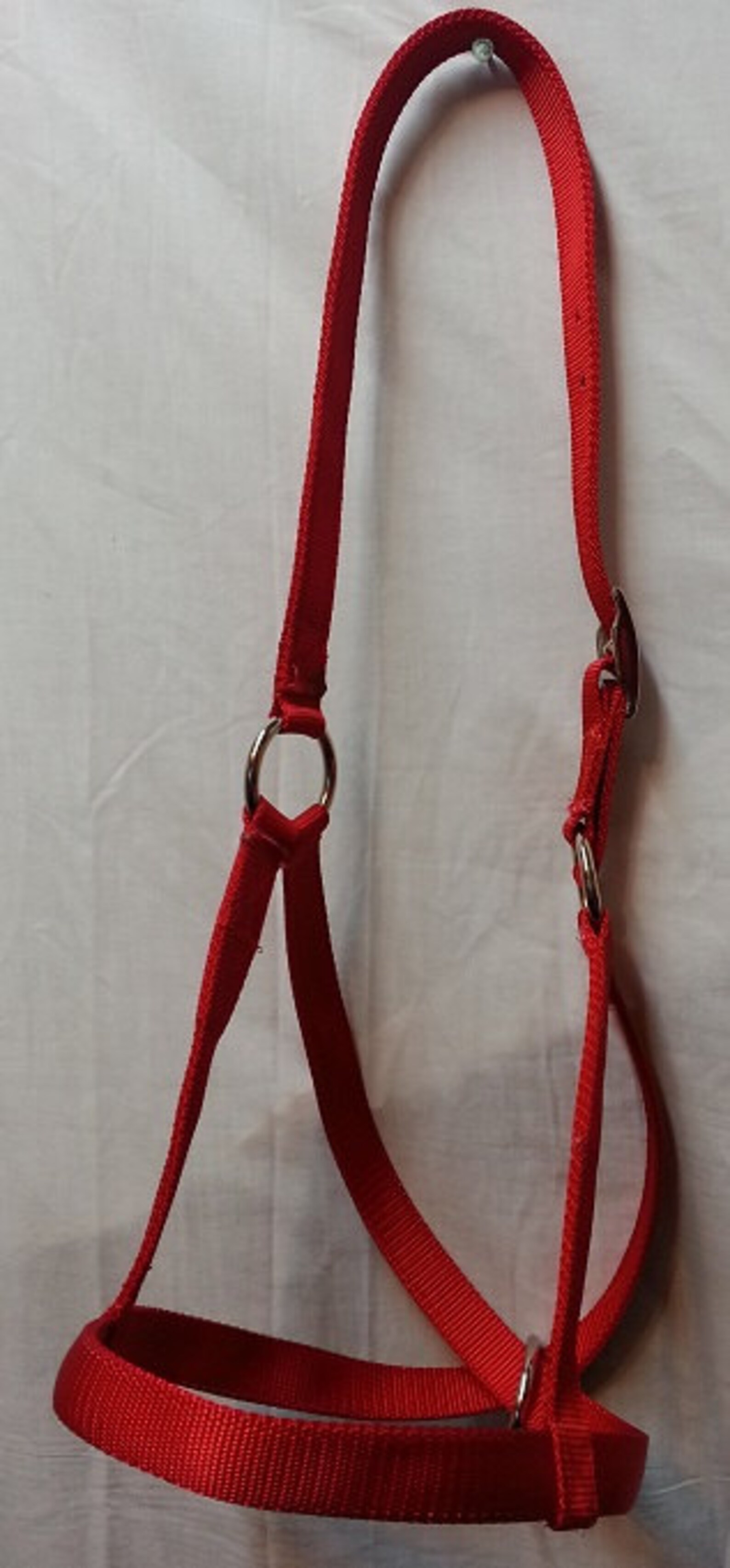 Cattle Halter Heavy Duty Choice of Color USA MADE SIZE | Etsy