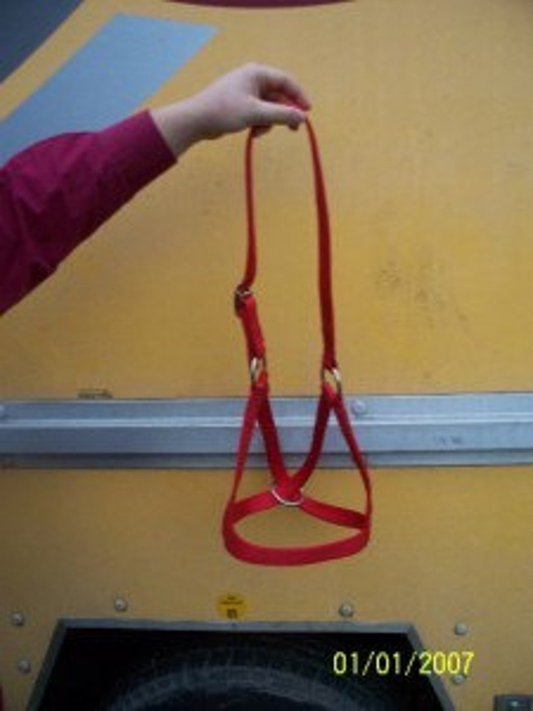 Cattle Halter Heavy Duty Choice of Color USA MADE SIZE Newborn, Calf ...