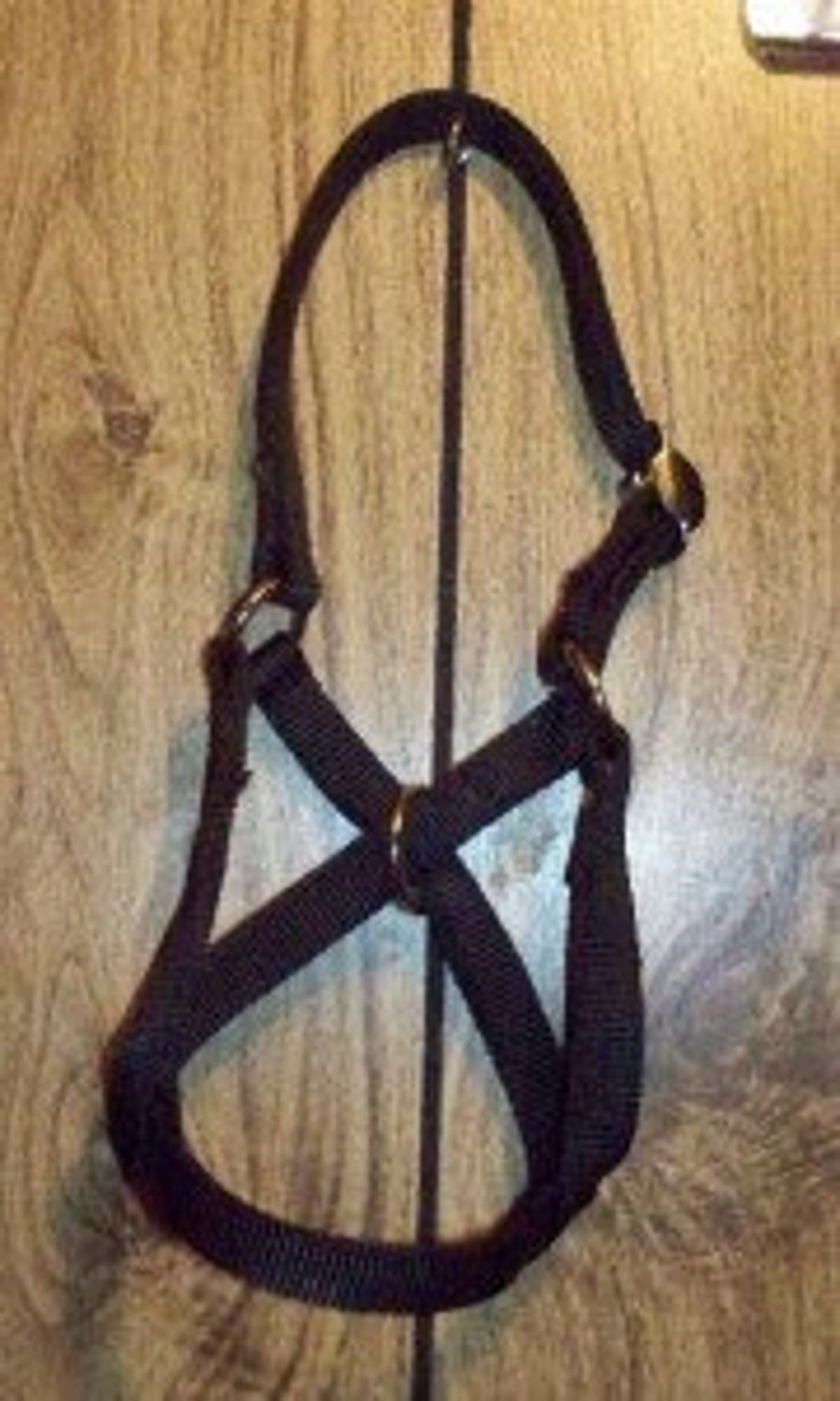 Goat or Llama Halter Hand Made USA Tough - Etsy