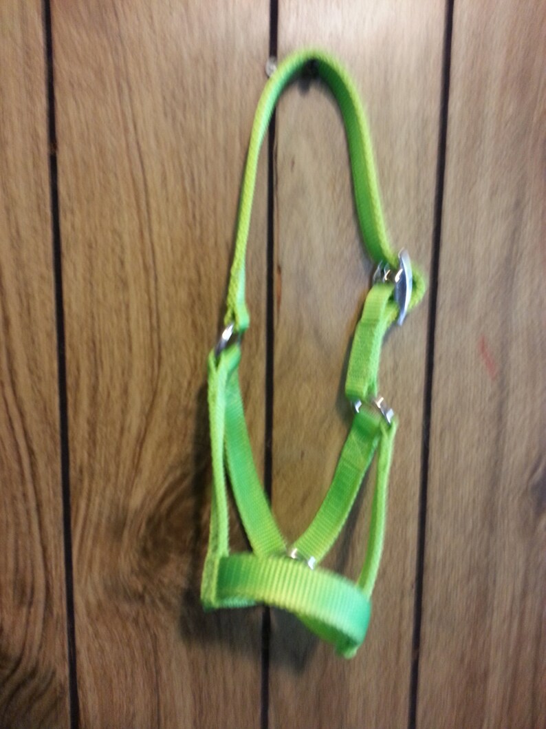 Goat or Llama Halter Hand Made USA Tough - Etsy