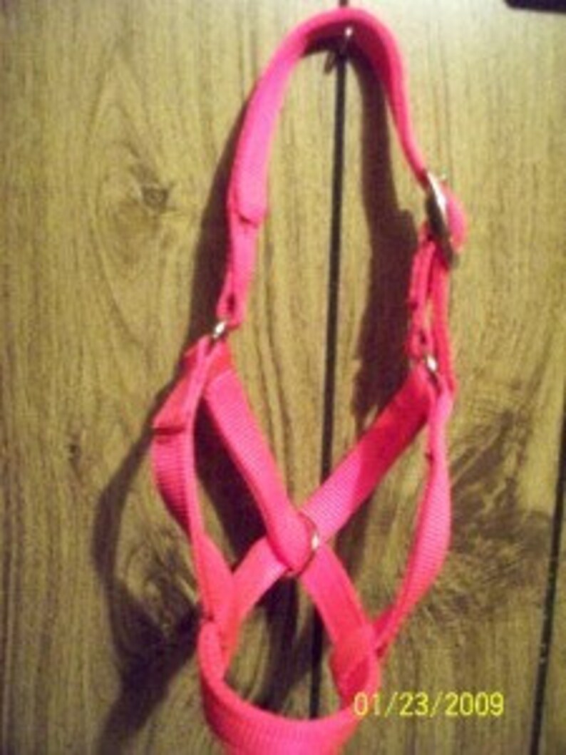 Goat or Llama Halter Hand Made USA Tough - Etsy