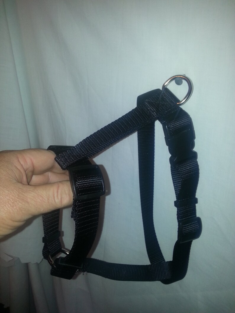 Adjustable Hog PIG Harness Hand Made Metal Buckle Easy Fit - Etsy