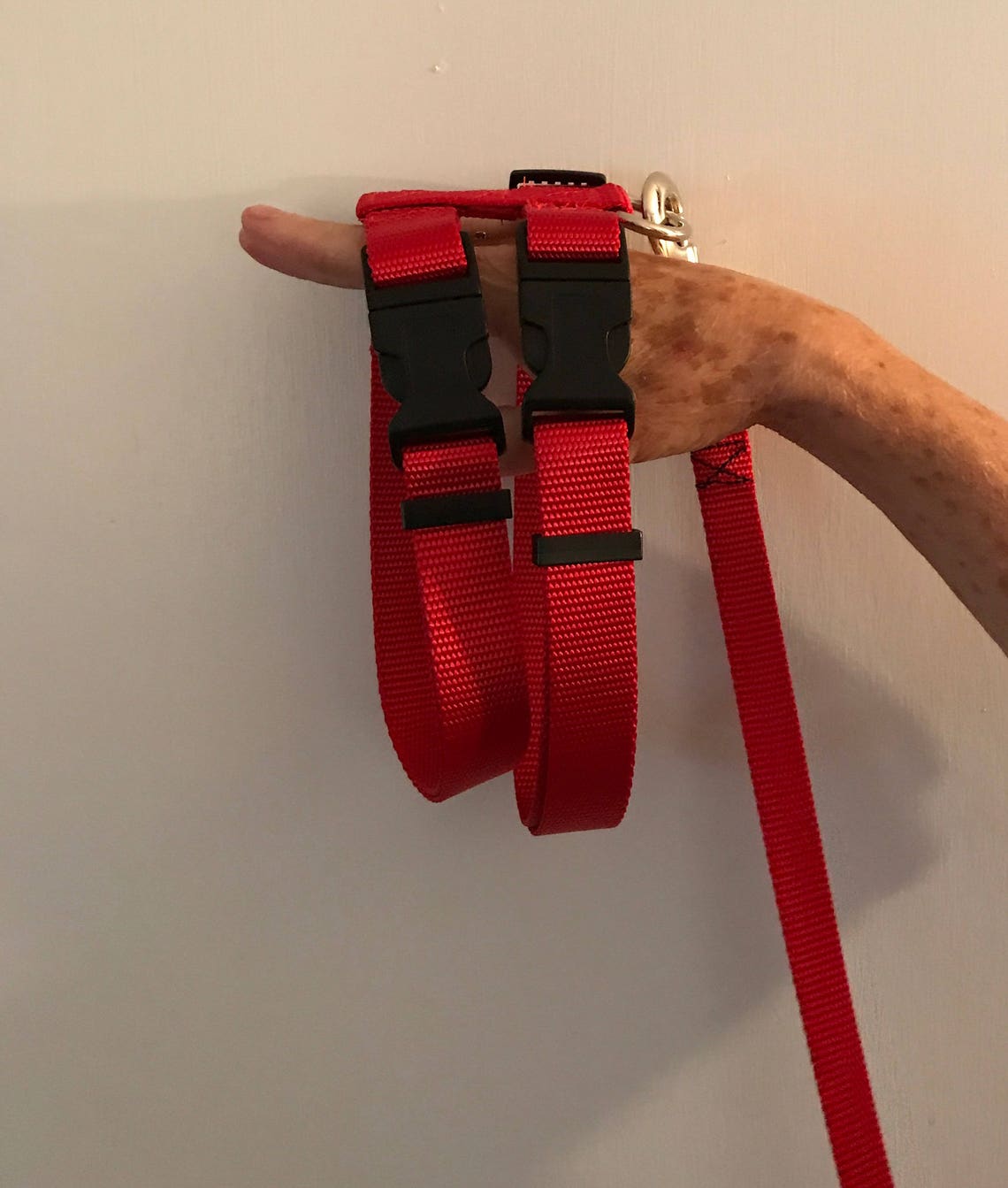 Pig Harness With Matching Leash Heavy Plastic Front and Back | Etsy