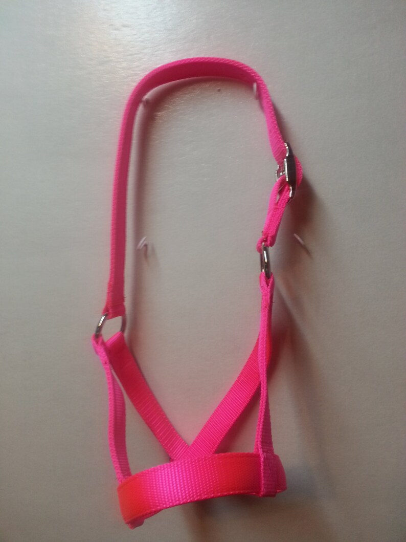 Cattle Halter Heavy Duty Choice of Color USA MADE SIZE - Etsy