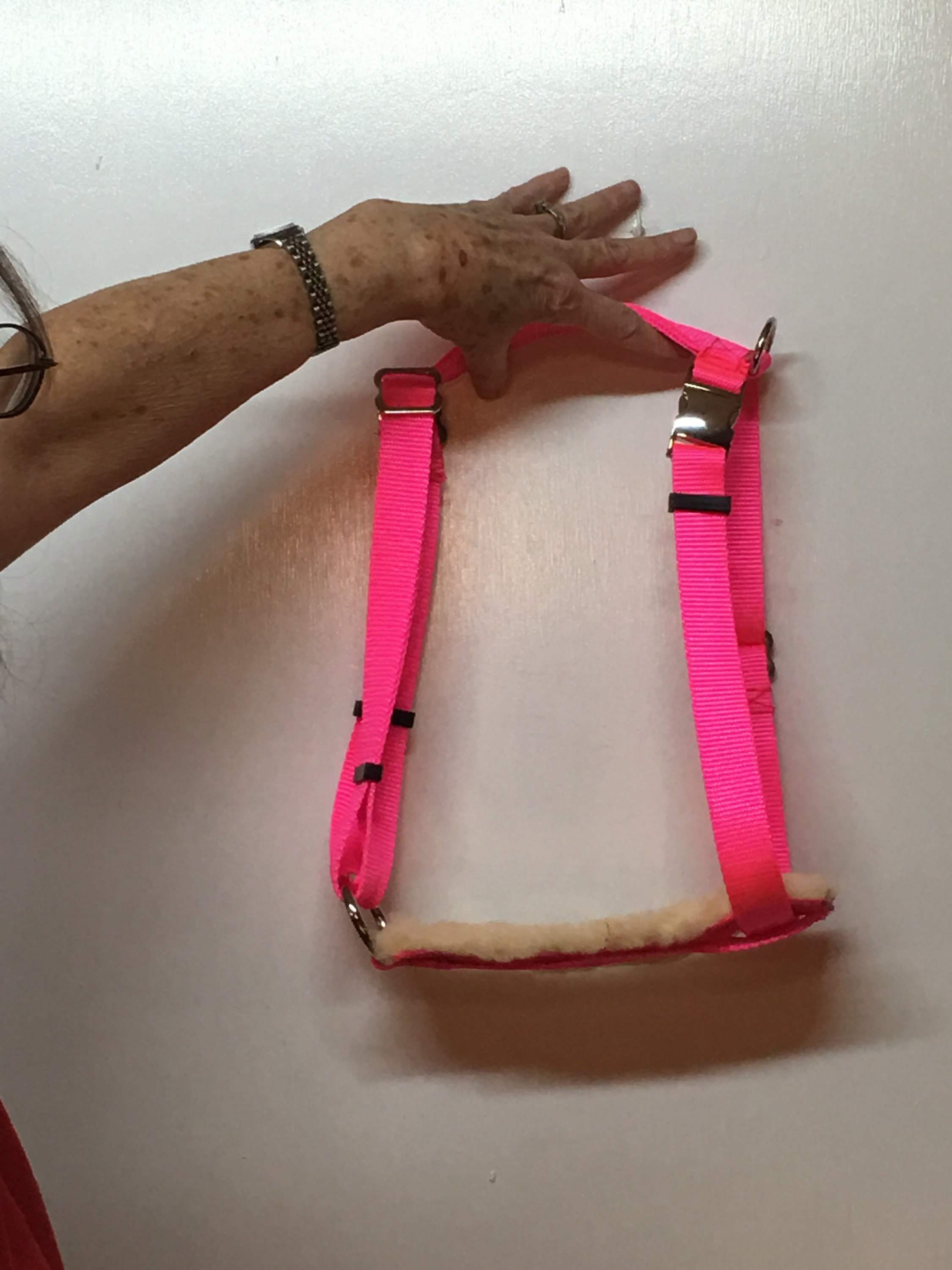 Padded Adjustable Hog PIG Harness Hand Made Metal Buckle - Etsy