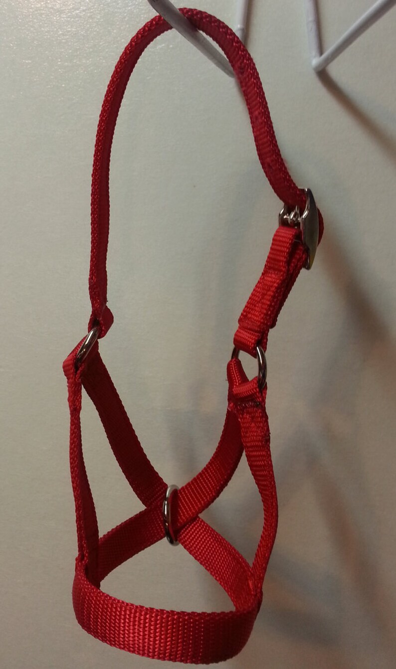 Cattle Halter Heavy Duty Choice of Color USA MADE SIZE | Etsy