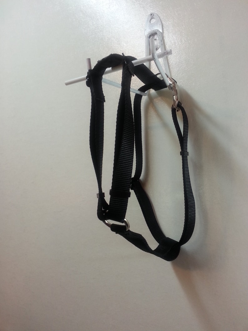 Adjustable Hog PIG Harness Hand Made Metal Buckle Easy Fit - Etsy