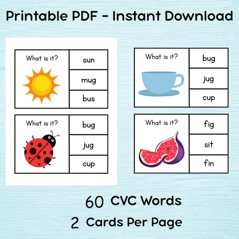 Montessori CVC Word Clip Cards – Printable Phonics Game (PDF) - Etsy