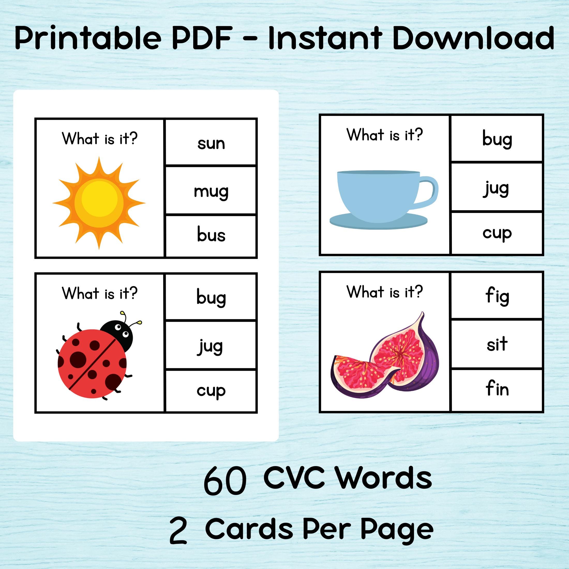 Montessori CVC Word Clip Cards – Printable Phonics Game (PDF) - Etsy
