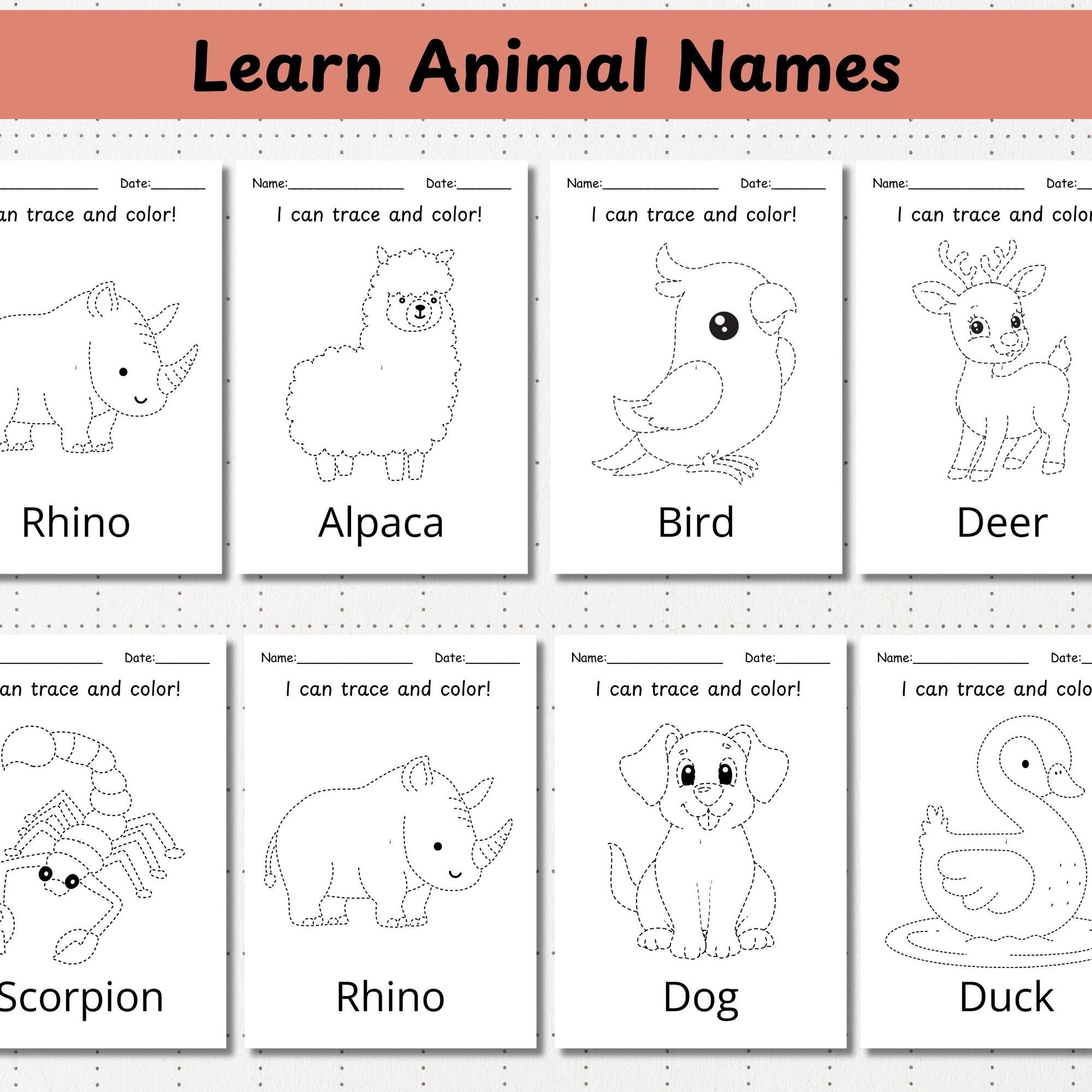 Preschool Animal Tracing and Coloring Worksheet: Handwriting Practice ...