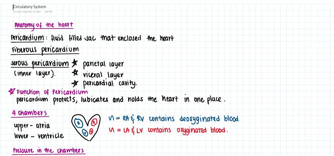 Dental Admission Test (DAT) Biology - Circulatory System Notes (5 Pages ...