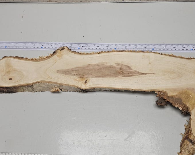Quirky Signature Live Edge Wood Silver Birch Board. - Etsy