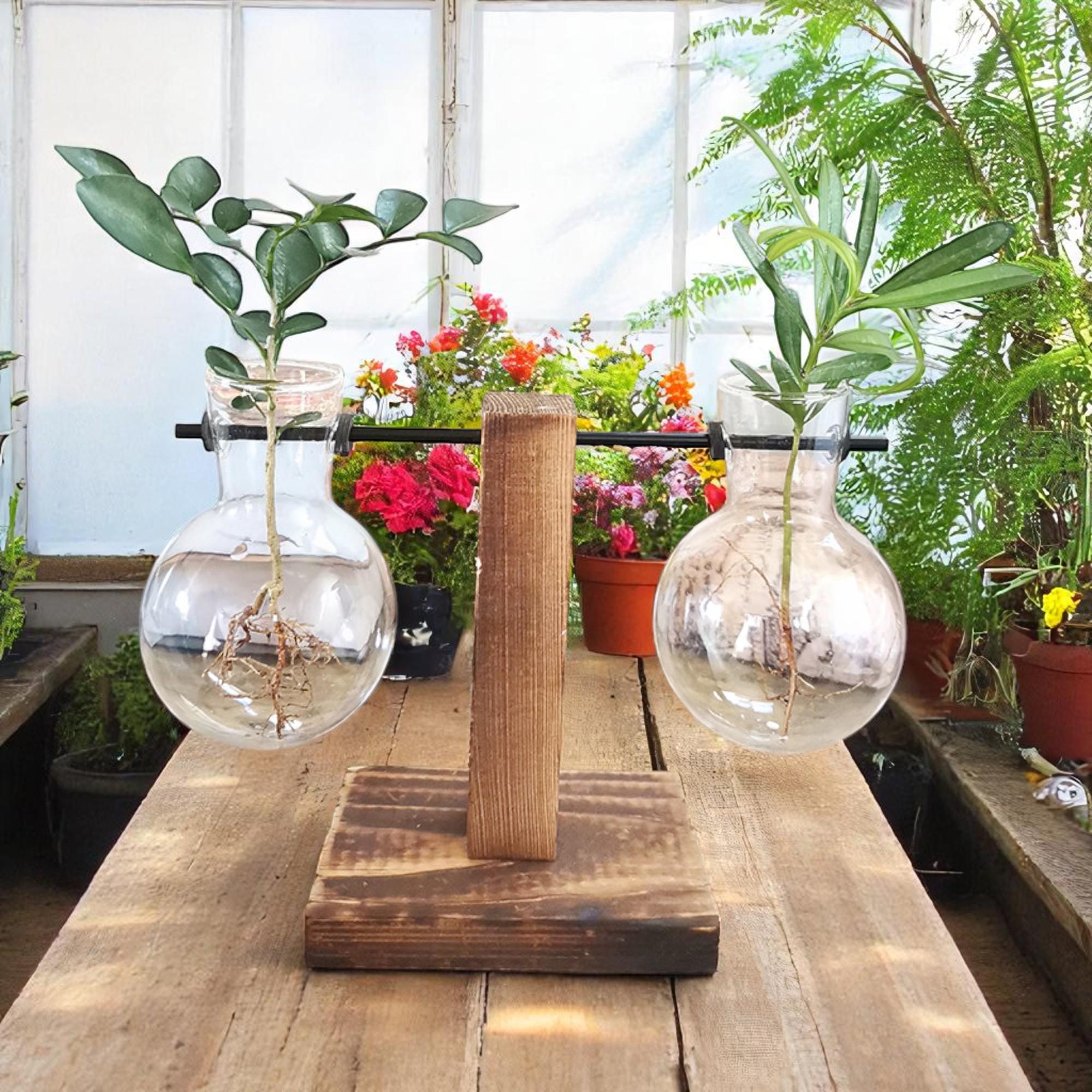 Glass Plant Propagation Station: Rustic Wood Stand, Hydroponic Vase - Etsy