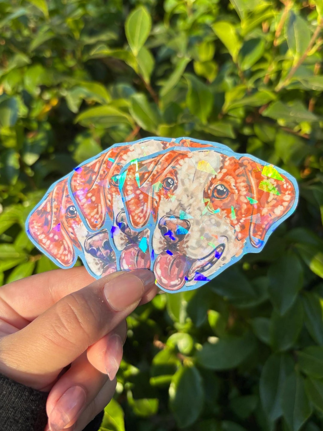 CUSTOM 3pc HOLOGRAPHIC Pet STICKER Pack - Personalized Gift, Custom ...