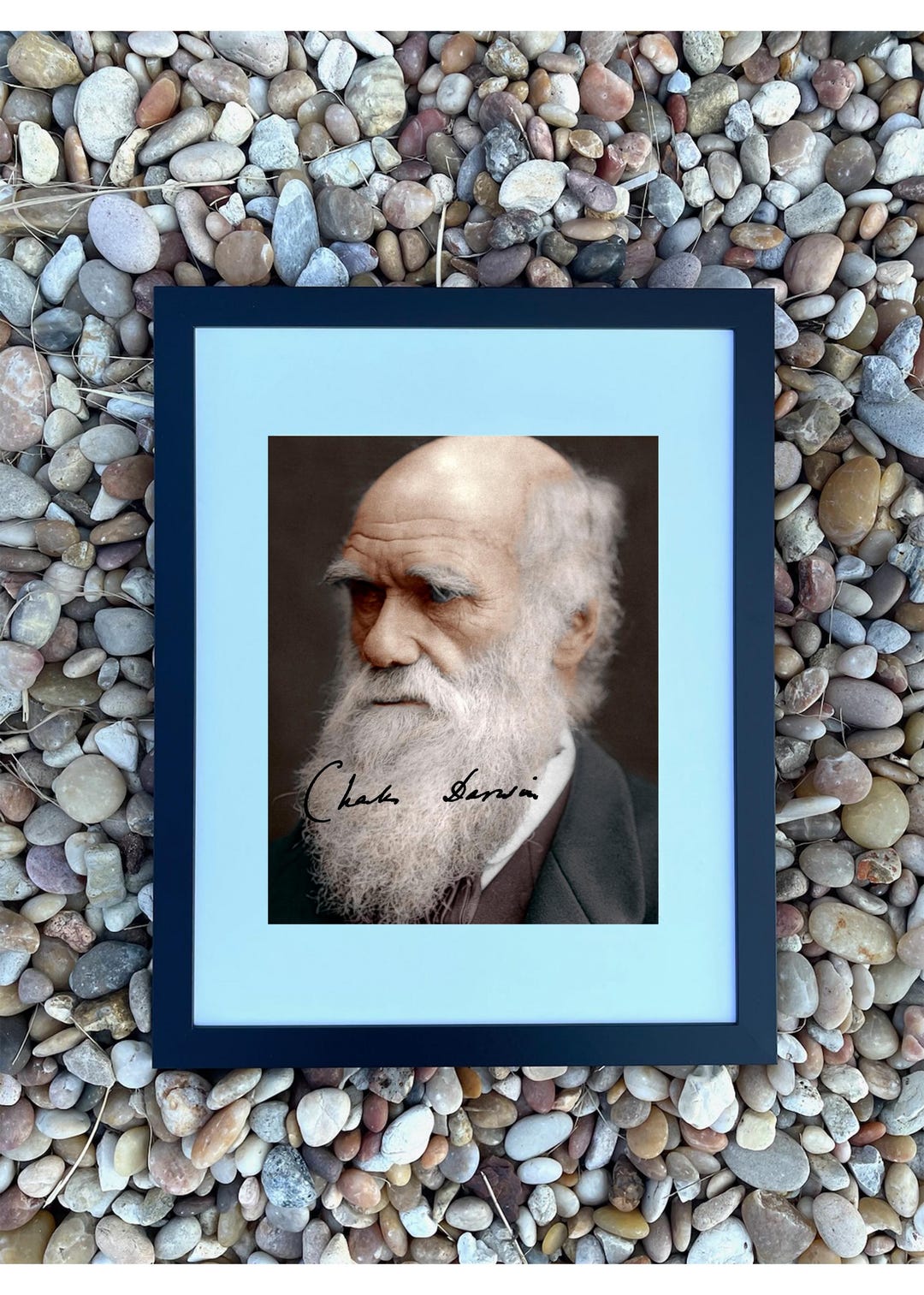 Charles Darwin Poster With Reprint Autograph – Evolution & Science Wall ...