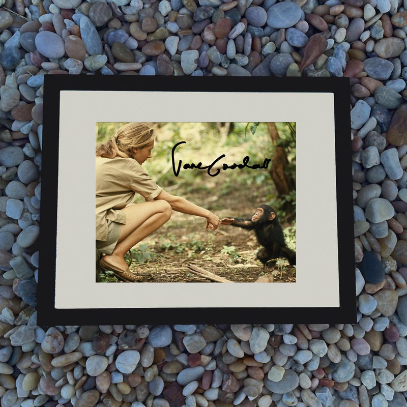 Reprint Photo Signed - Etsy