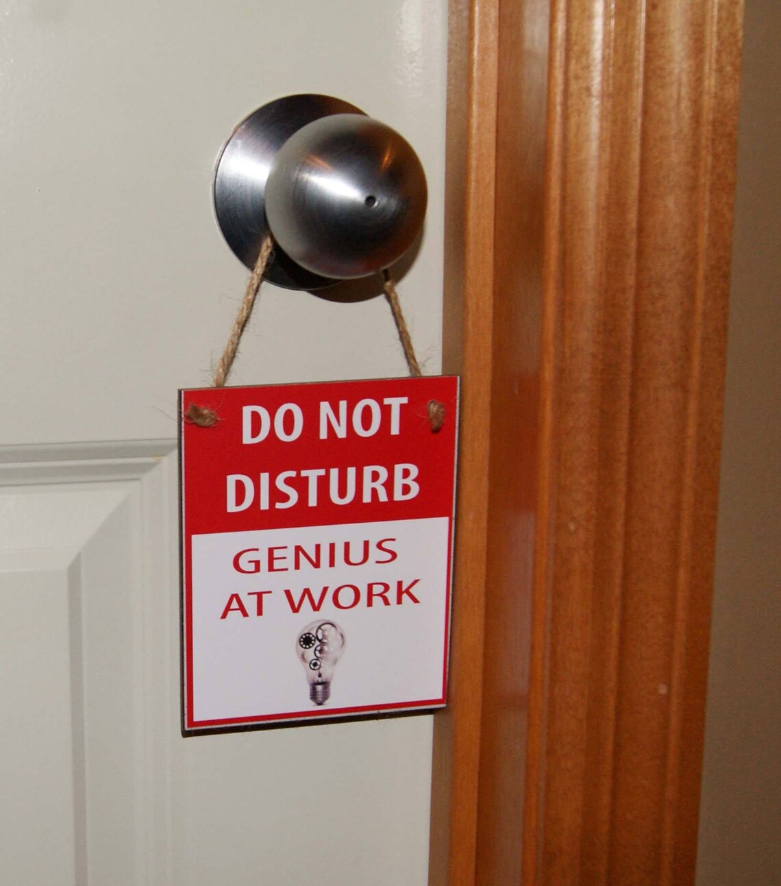 Do Not Disturb Genius at Work With Lightbulb Novelty Funny 4x5 | Etsy